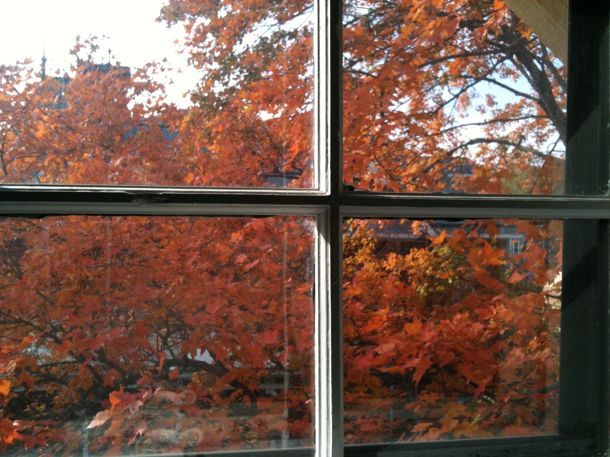 Photo gallery: Kansas in autumn, 2011 | News, Sports, Jobs - Lawrence ...